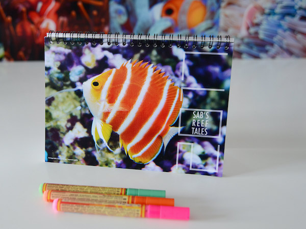Calendrier Sab's Reef Tales : les Contes du Récif 2017 - Récifal News