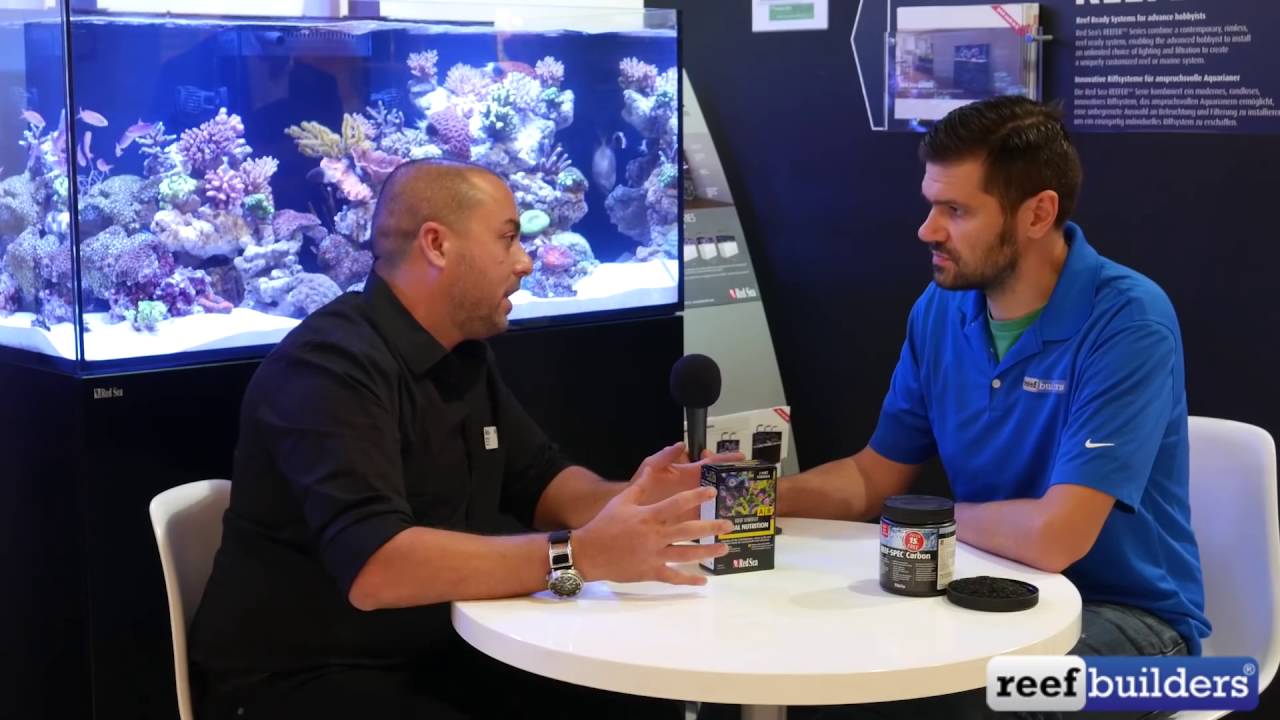 Coral Nutrition avec Sharon Ram de Red Sea - Récifal News