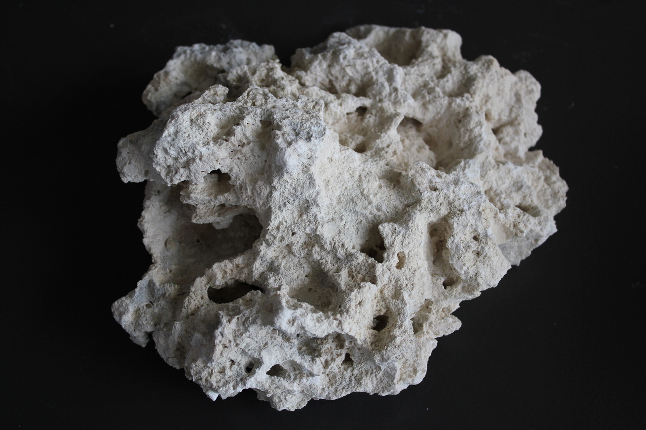 Marco rocks : unboxing - Récifal News