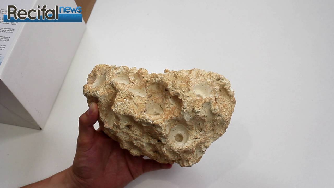 Unboxing du Coral Rack Long de Tunze - Récifal News