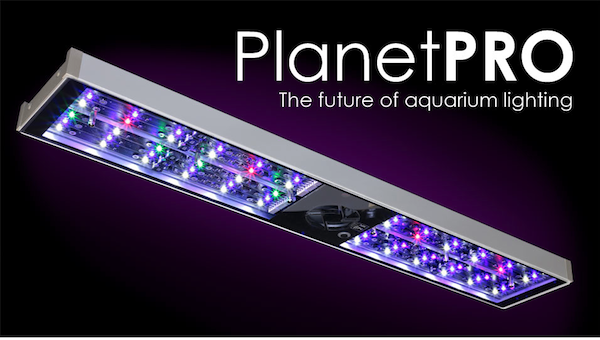 Elos PlanetPRO une nouvelle rampe led - Récifal News