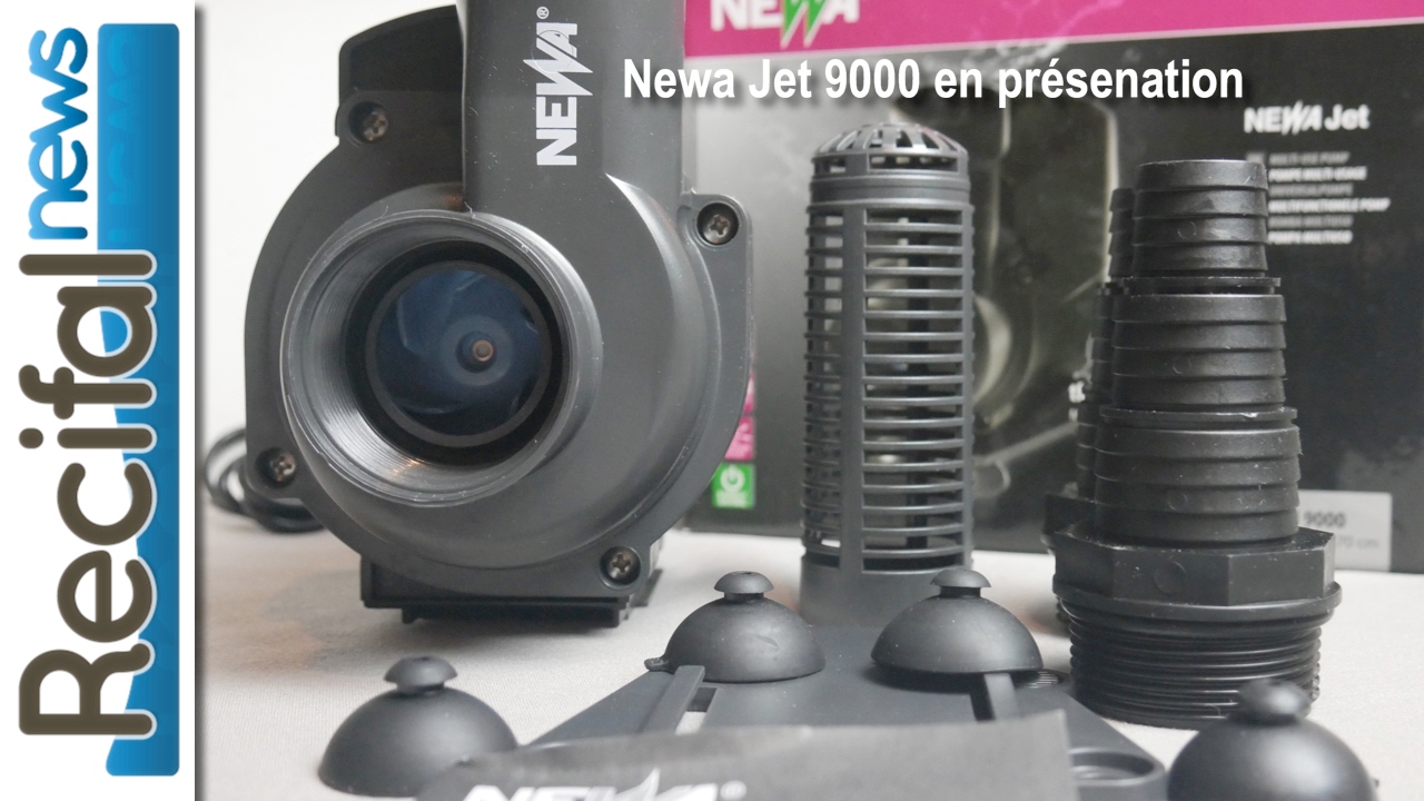 Newa Jet 9000 : pompe de remontée made in Italy - Récifal News