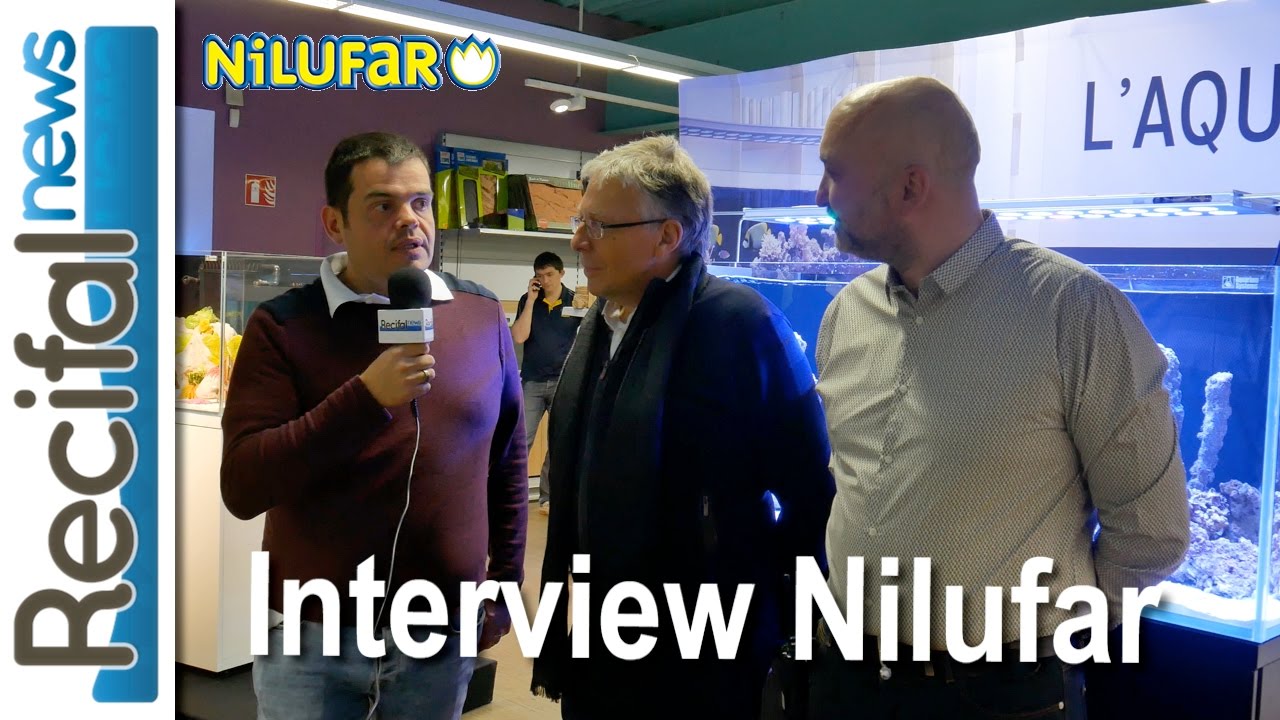Interview Nilufar - Récifal News