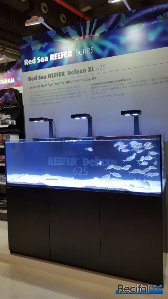 Lancement et tarifs des nouveaux Red Sea Reefer XXL et Peninsula ...