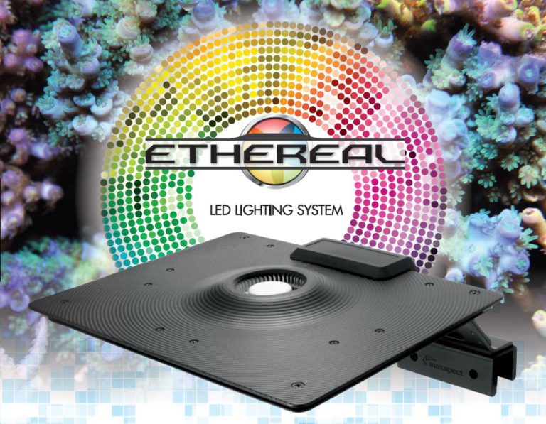 Maxspect Ethereal : mise à jour de l'application ! - Récifal News