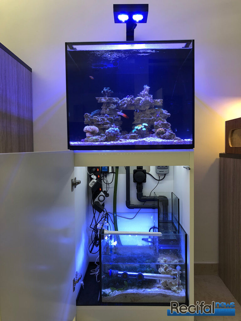 Vlog #2 Geoffrey : démarrage du Red Sea Reefer 170 - Récifal News