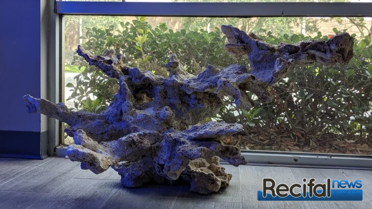 Le mythe de l'aquarium de pierres vivantes - Récifal News