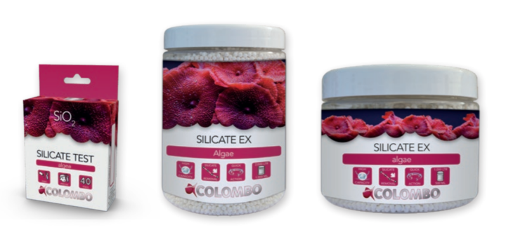 Colombo Silicate test et Silicate EX - Récifal News