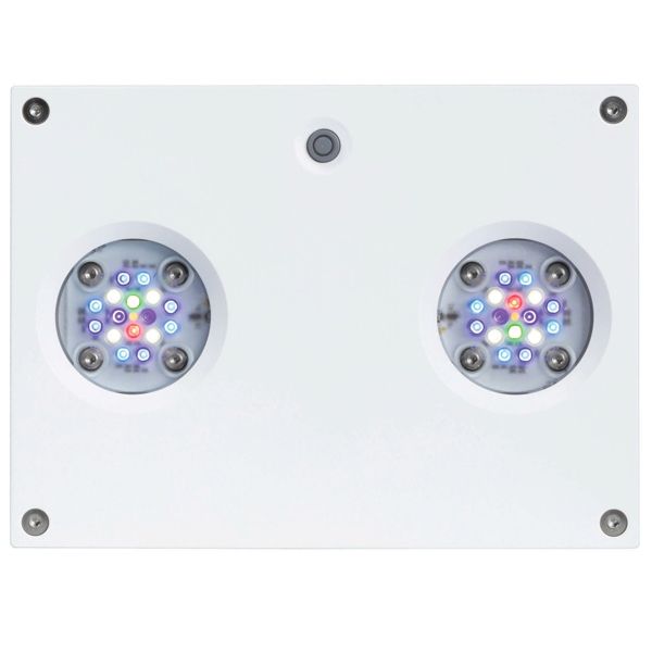 AI Hydra 32 et 64HD : nouvelles rampes AquaIllumination - Récifal News