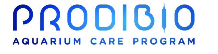 Prodibio recompose sa gamme eau de mer - Récifal News