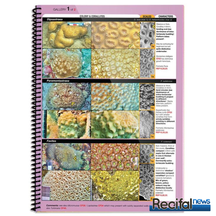 Coral Finder 2021 : guide de différenciation des genres de coraux durs ...