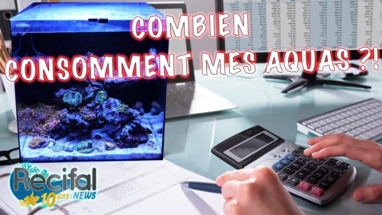 [VLOG#21] Axel : Combien consomment / coûtent mes bacs ?! - Récifal News