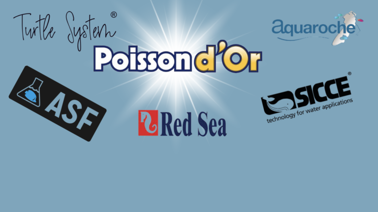 54 ans du Poisson d'Or : découvrez les conférences filmées - Récifal News